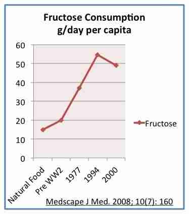 Fructose, Fatty Liver, and Insulin Resistance - T2D 28 - The Fasting Method